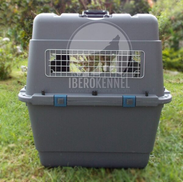 Guacales Para Perros Grandes Talla XXL 500 import. - iberokennel